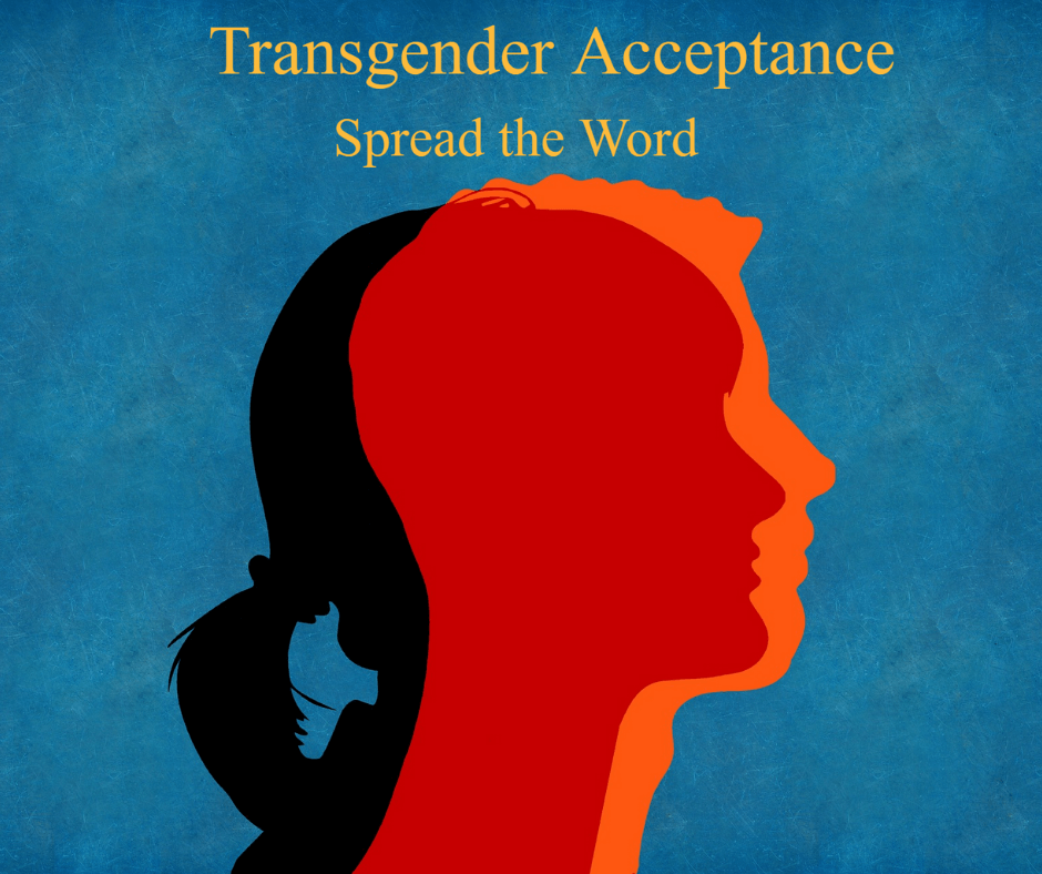 Pride and Equality Novelty Store & LGBTQ+ News | Transgender Jeopardy ...